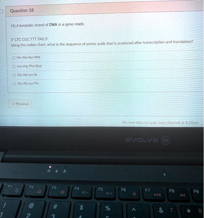 SOLVED: Question 18 template strand of DNA in a gene reads: CTC ...