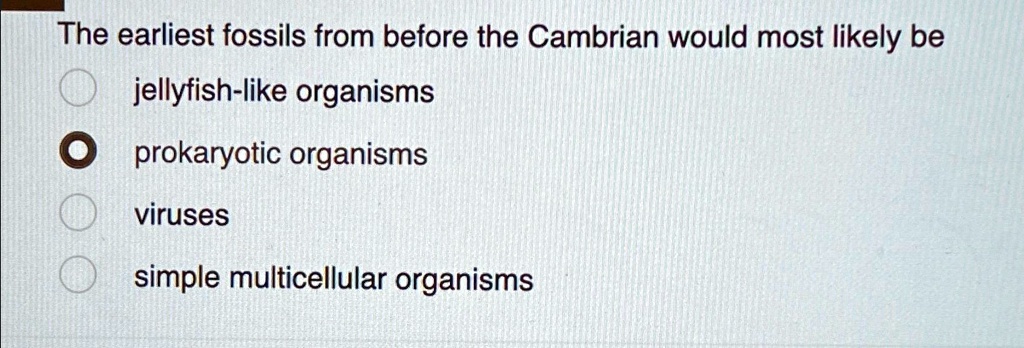 The earliest fossils from before the Cambrian would most likely be ...