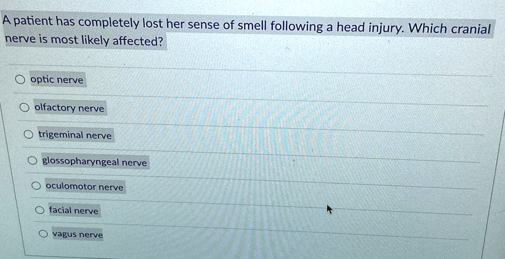 A patient has completely lost her sense of smell following a head ...