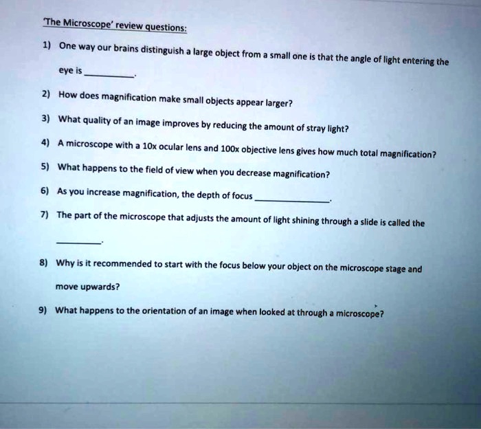 SOLVED: The Microscope' review questions: One way our brains ...