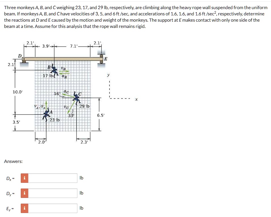 SOLVED: Texts: Three monkeys A, B, and C weighing 23, 17, and 29 lb ...