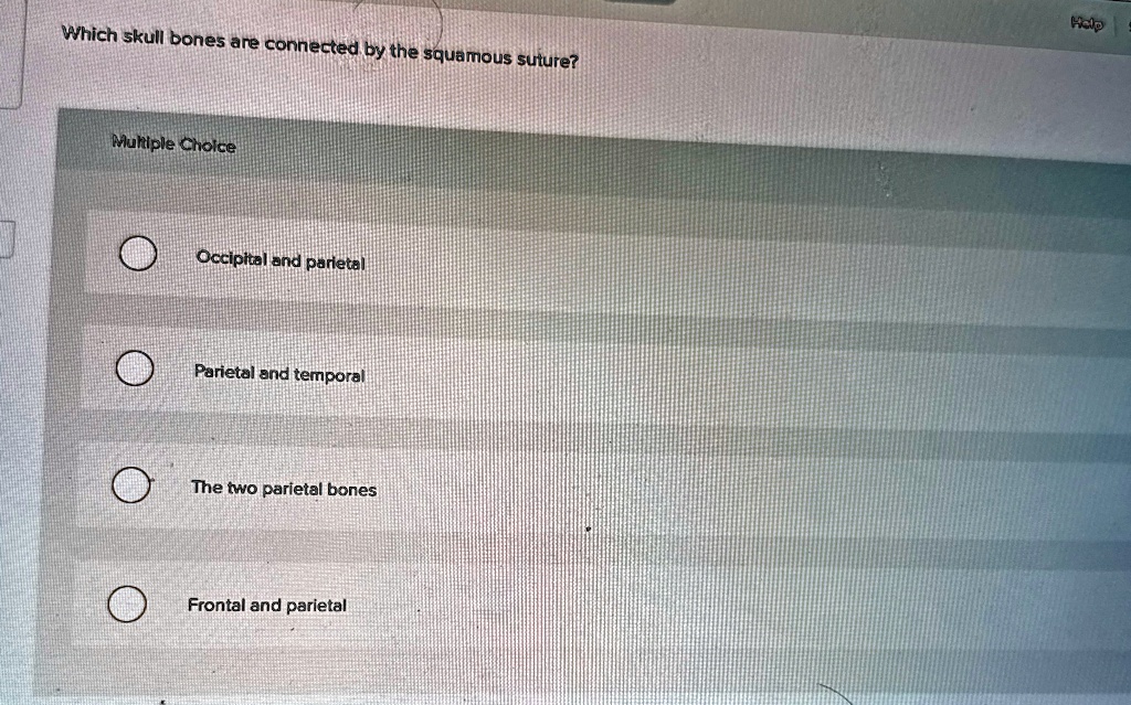 Which skull bones are connected by the squamous suture? Multiple Choice ...