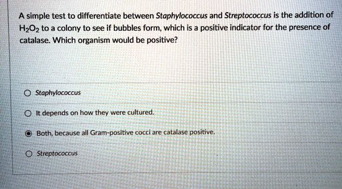SOLVED: A simple test to differentiate between Staphylococcus and ...