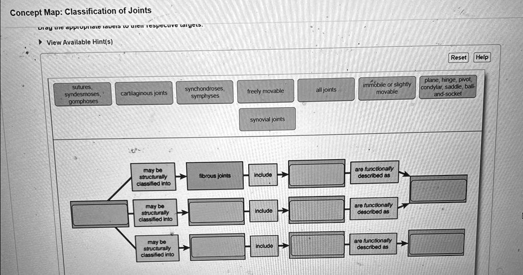 Concept Map: Classification of Joints Drag the appropriate labels to their respective targets ...