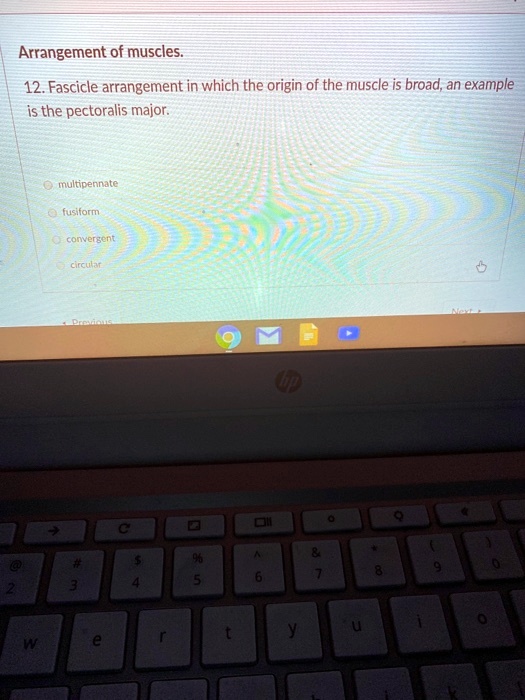 Arrangement of muscles. 12. Fascicle arrangement in which the origin of ...