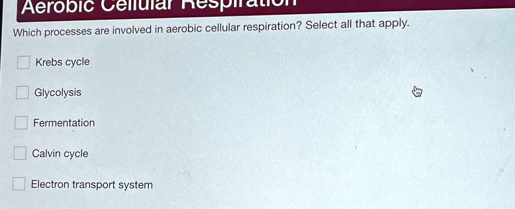 aerobic cellular respiration which processes are involved in aerobic ...