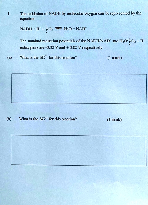 the oxidation of nadh by molecular oxygen can be represented by the ...