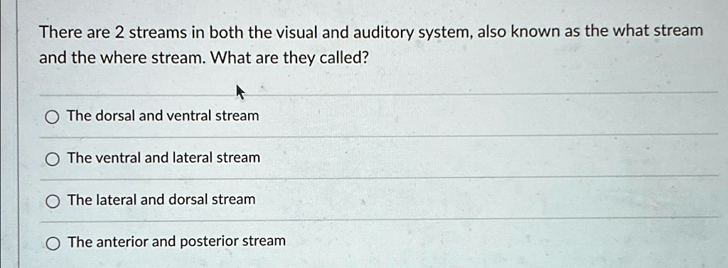 there are 2 streams in both the visual and auditory system also known ...