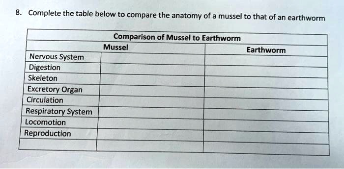 SOLVED: Complete the table below to compare the anatomy of a mussel to ...