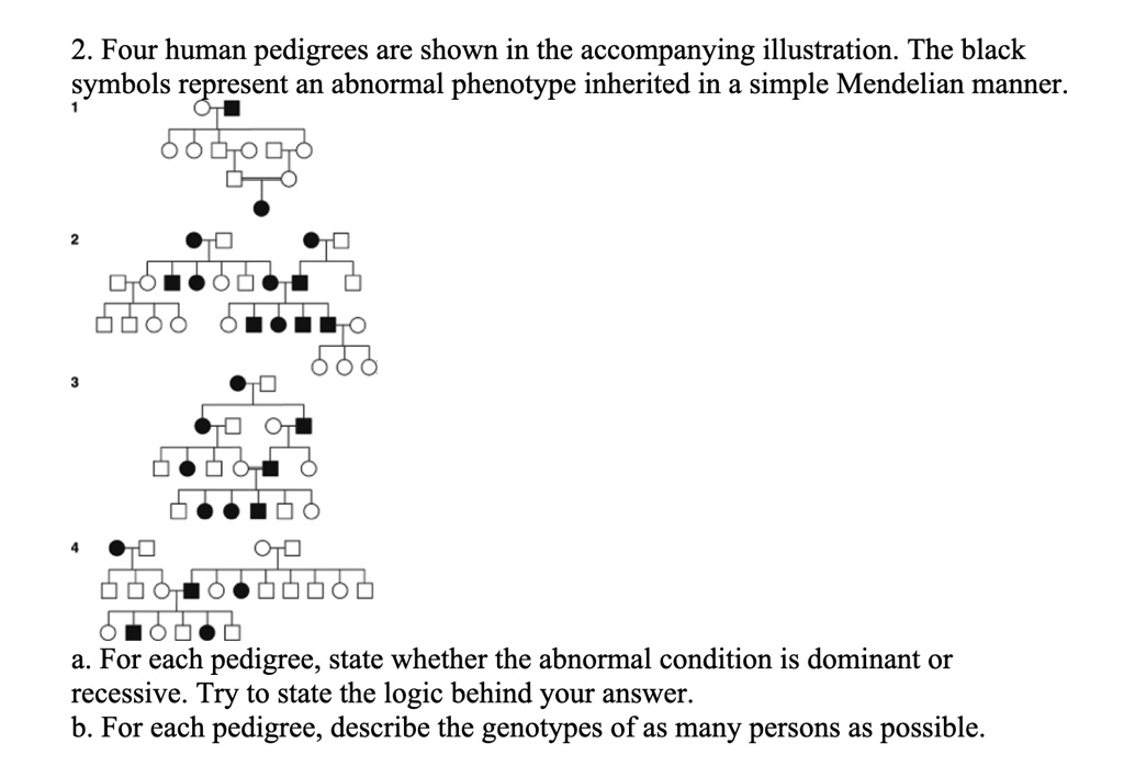 2. Four human pedigrees are shown in the accompanying illustration. The ...
