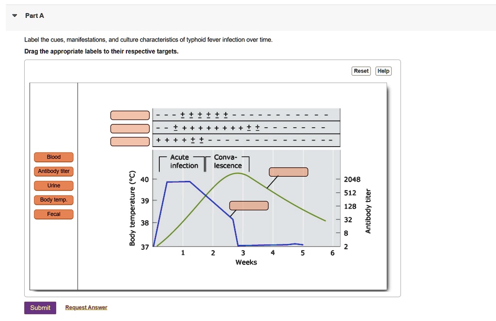 SOLVED: Texts: Part A Label the cues, manifestations, and cultural ...