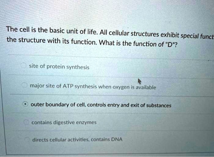 the cell is the basic unit of life all cellular structures exhibit ...