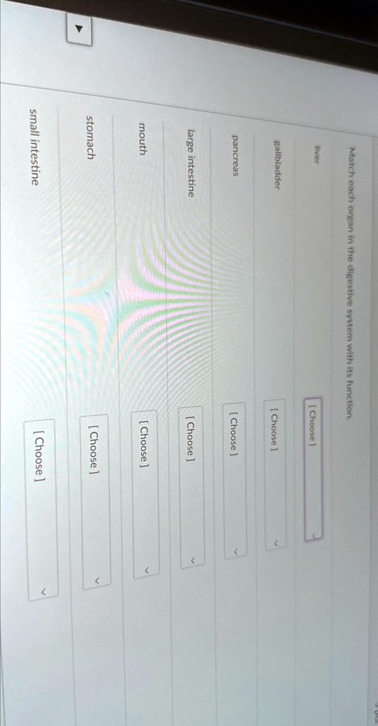 Match each organ in the digestive system with its function. liver ...