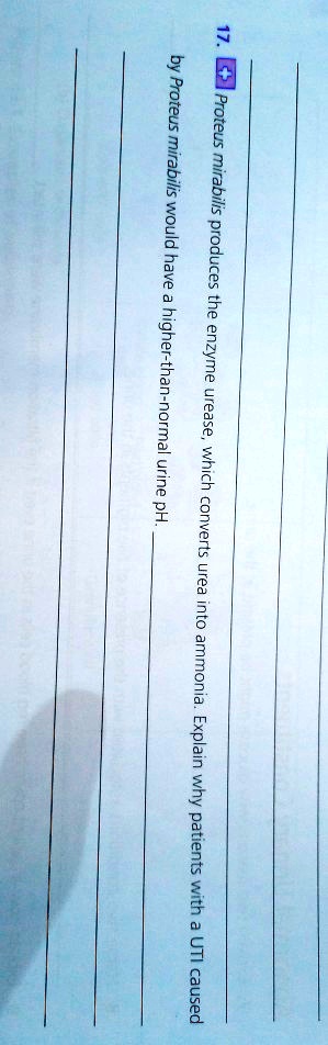 SOLVED: Proteus mirabilis produces the enzyme urease, which converts ...