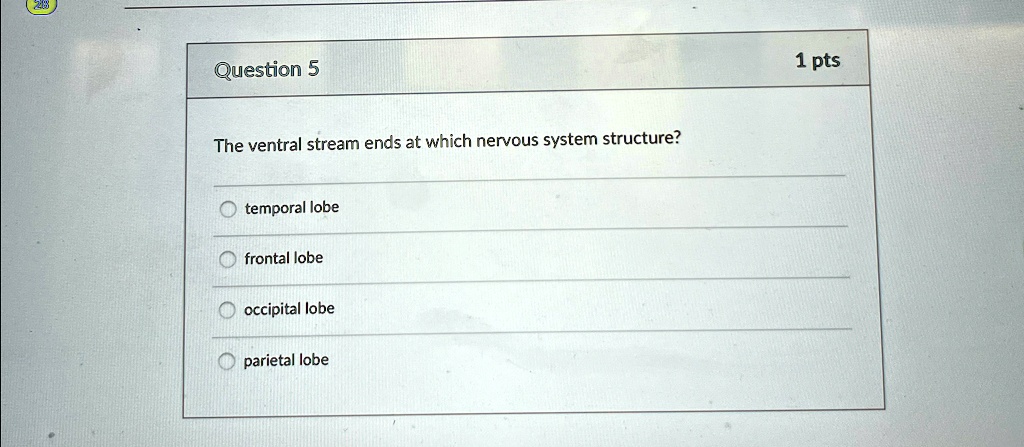 question 5 the ventral stream ends at which nervous system structure ...
