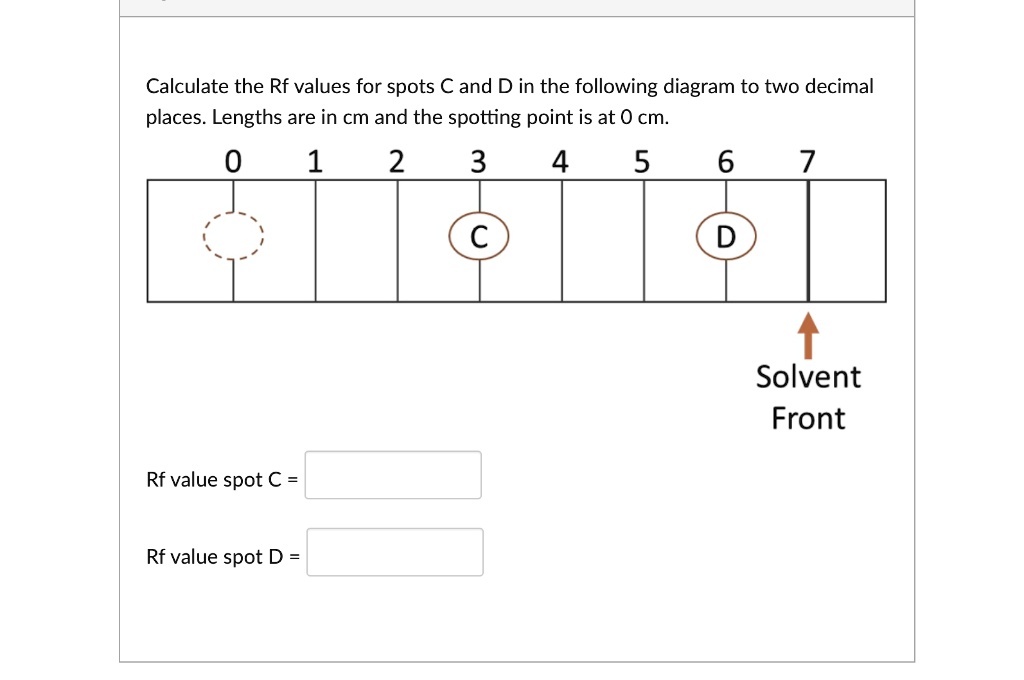 Solved Calculate The Rf Values For Spots C And D In The Following