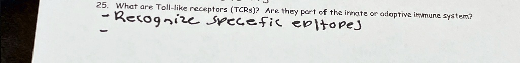 [GET ANSWER] 25. What are Toll-like receptors (TCRs)? Are they part of the innate or adaptive ...
