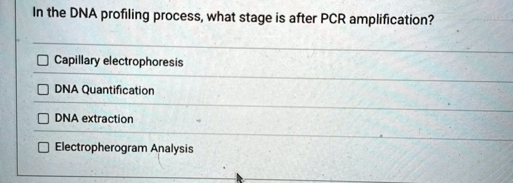in the dna profiling process what stage is after pcr amplification capillary electrophoresis dna ...