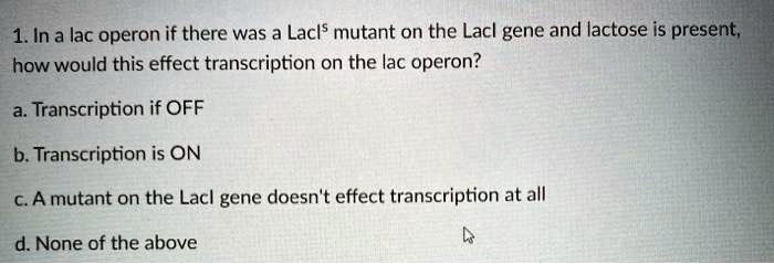 SOLVED: 1.In a lac operon if there was a Lacls mutant on the Lacl gene ...