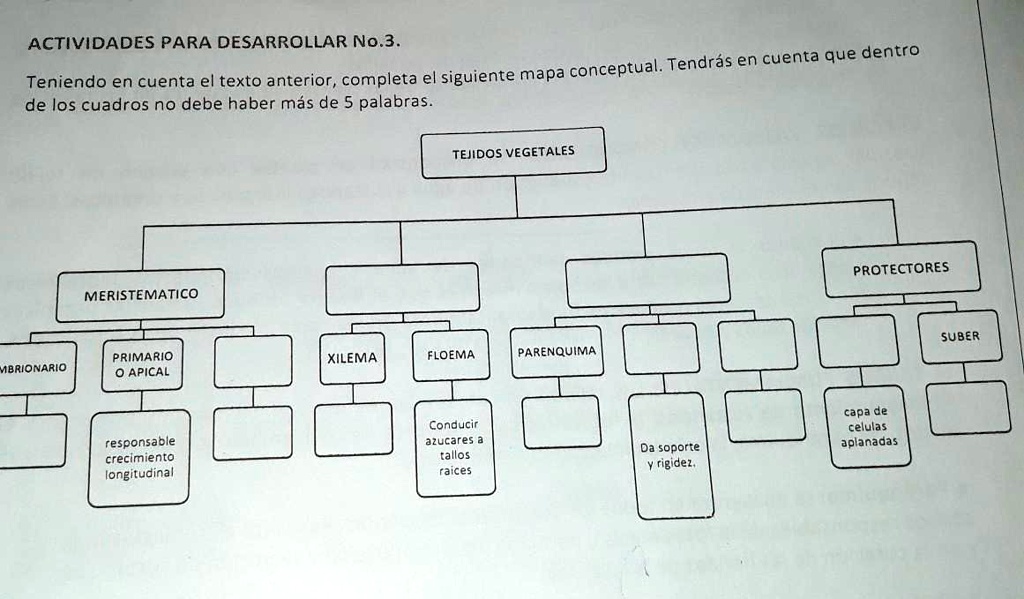 SOLVED: porfa lo necesito para hoy ACTIVIDADES PARA DESARROLLAR No.3 ... SOLVED: porfa lo necesito para hoy ACTIVIDADES PARA DESARROLLAR No.3 ...
