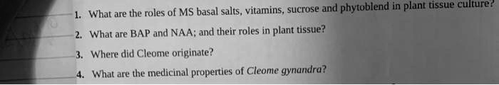 1 What Are The Roles Of Ms Basal Salts Vitamins Sucrose And Phytoblend In Plant Tissue