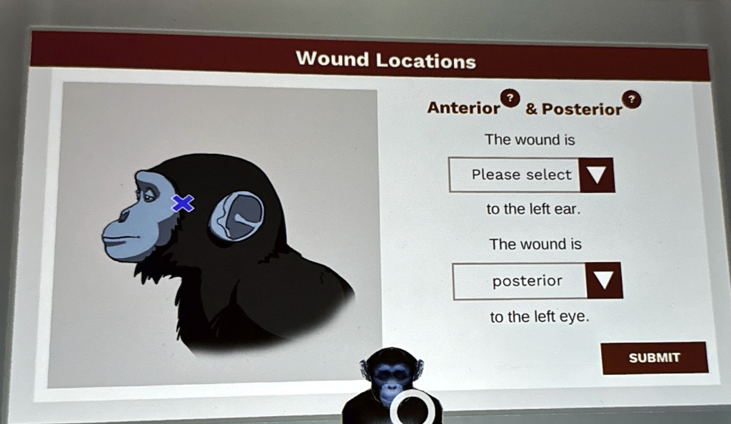 Wound Locations Anterior ? Posterior ? The wound is Please select to ...