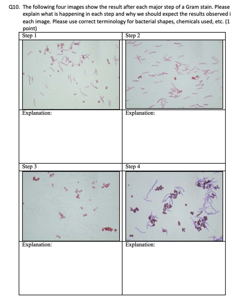 q10 the following four images show the result after each major step of ...