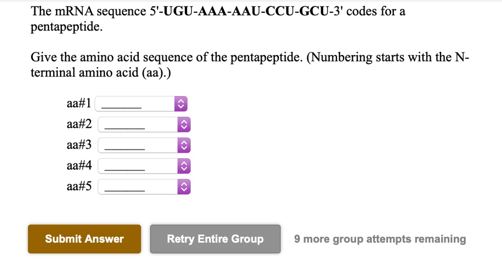 SOLVED: The mRNA sequence 5'-UGU-AAA-AAU-CCU-GCU-3' codes for a ...