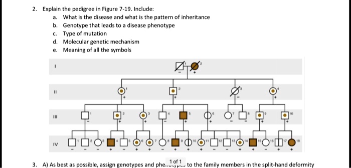 SOLVED: Explain the pedigree Figure 7-19, Include: What is the disease and what the pattem of ...