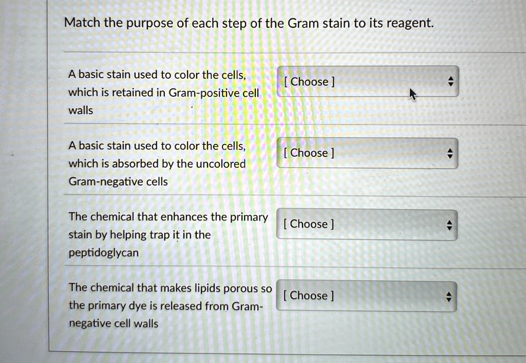 match the purpose of each step of the gram stain to its reagent a basic ...