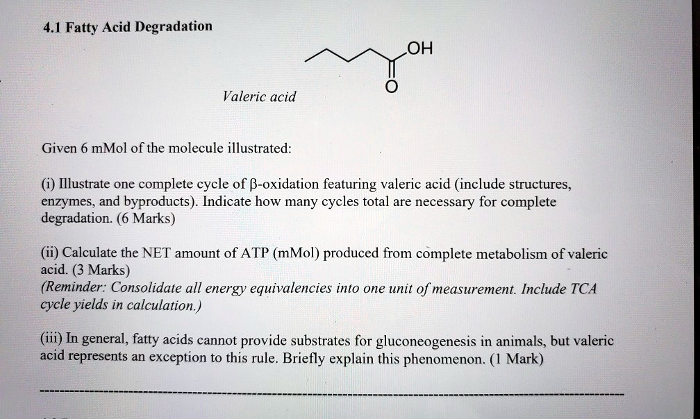 41 fatty acid degradation oh valeric acid given 6 mmol of the molecule ...