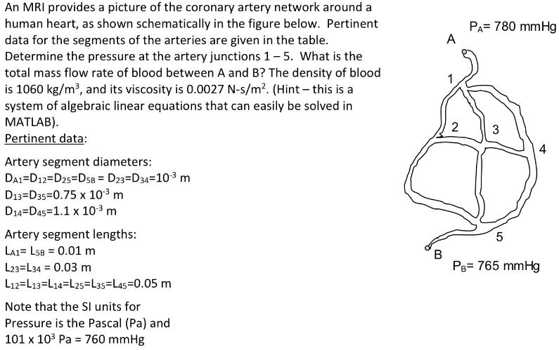 An MRI provides a picture of the coronary artery network around a human heart, as shown ...