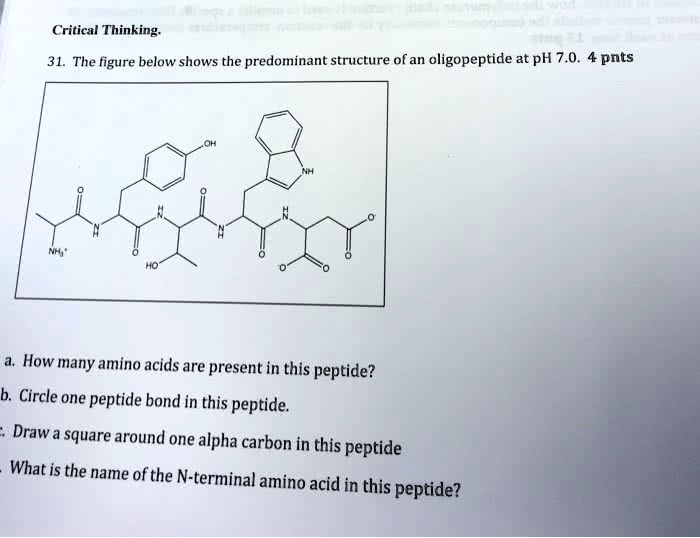 Critical Thinking. 31. The figure below shows the predominant structure ...
