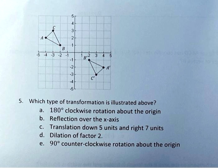 show work if you canwhich type of transformation is illustrated abovea ...