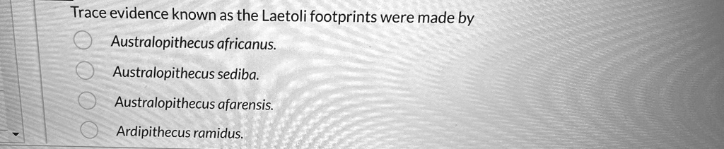 SOLVED: Trace evidence known as the Laetoli footprints were made by ...