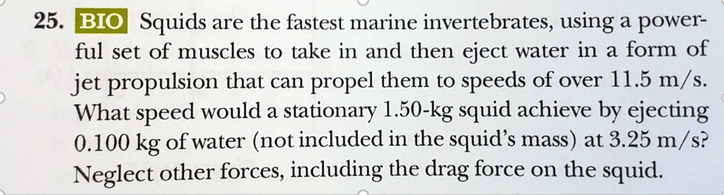 SOLVED: 25. BIO Squids are the fastest marine invertebrates, using a ...