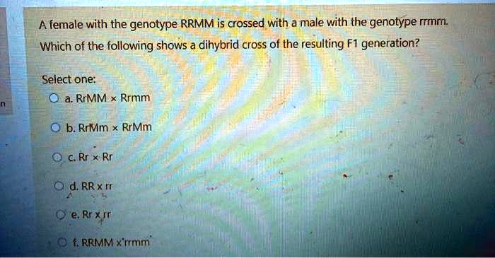 SOLVED: A female with the genotype RRMM is crossed with a male with the ...