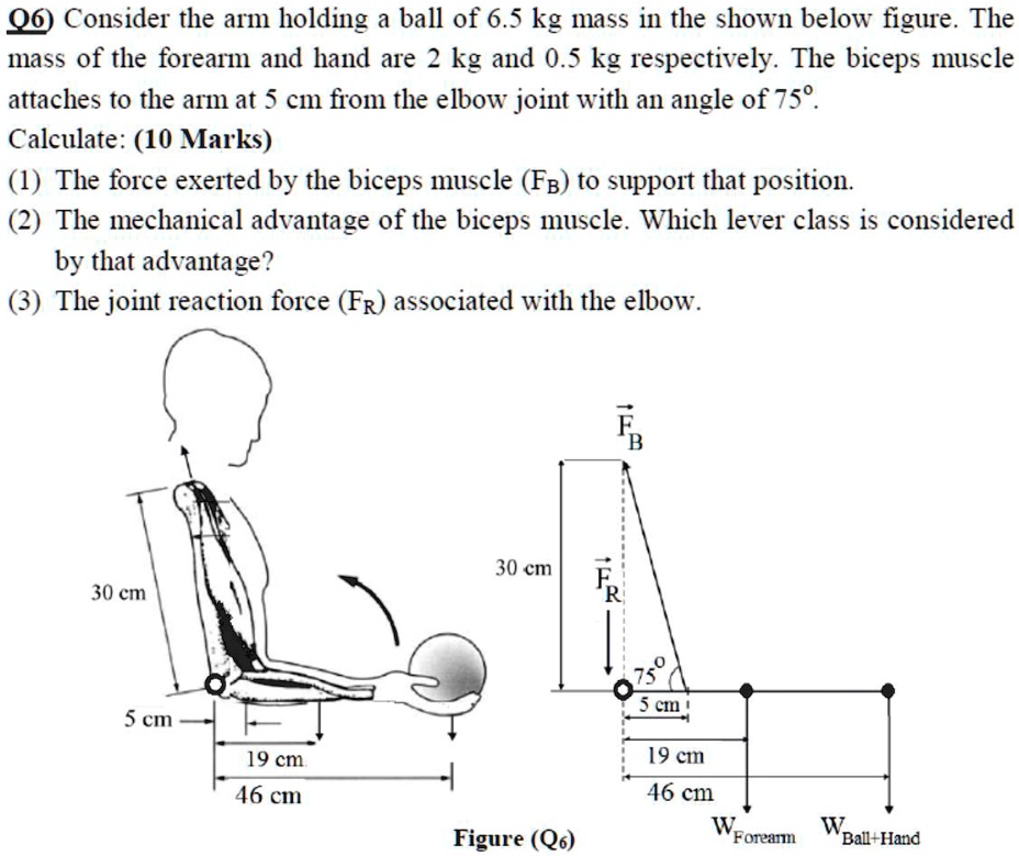 Q6) Consider the arm holding a ball of 6.5 kg mass in the shown below ...
