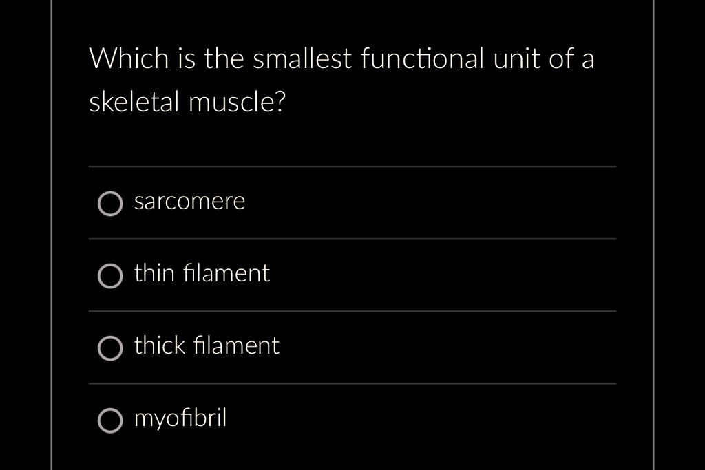 which is the smallest functional unit of a skeletal muscle sarcomere ...
