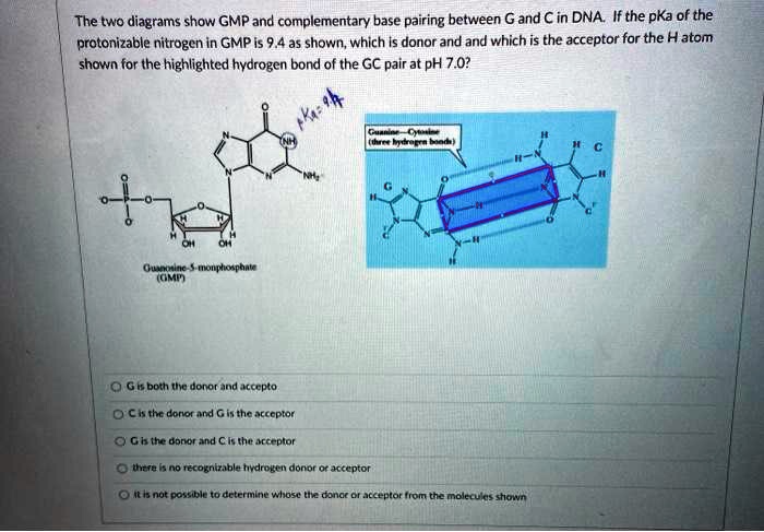 SOLVED: The two diagrams show GMP and complementary base pairing ...