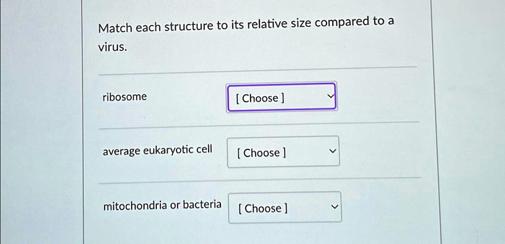 SOLVED: Match each structure to its relative size compared to a virus ... SOLVED: Match each structure to its relative size compared to a virus ...
