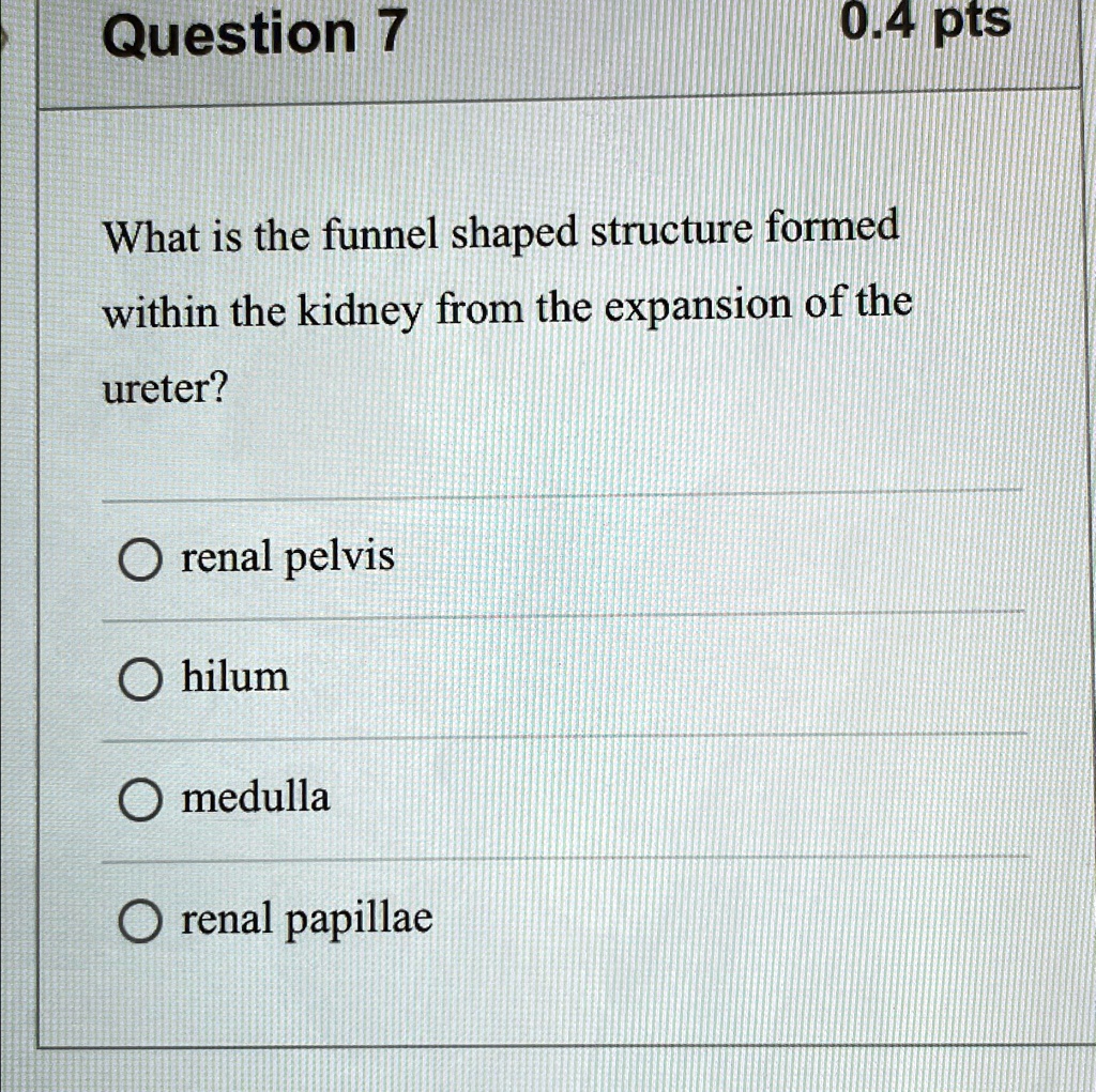 Question 7 0.4 pts What is the funnel shaped structure formed within ...