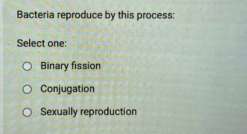 bacteria reproduce by this process select one binary fission ...