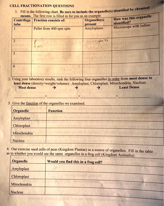SOLVED:CELL FRACTIONATION QUESTIONS chemiesl Fill in the following ...