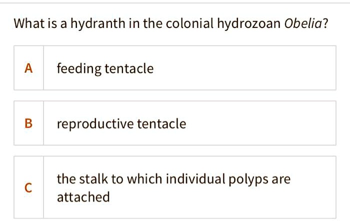 SOLVED: What is a hydranth in the colonial hydrozoan Obelia? A feeding ...