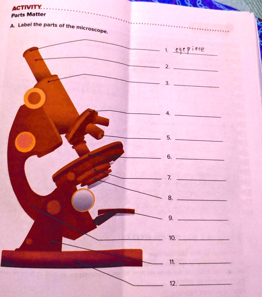 SOLVED: A. Label the parts of the microscope. Activity: Parts Matter ...