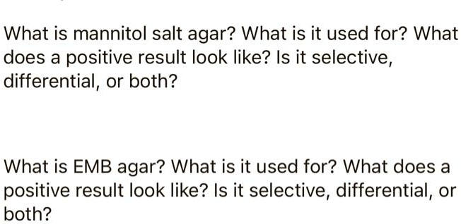 What is mannitol salt agar? What is it used for? What does a positive ...