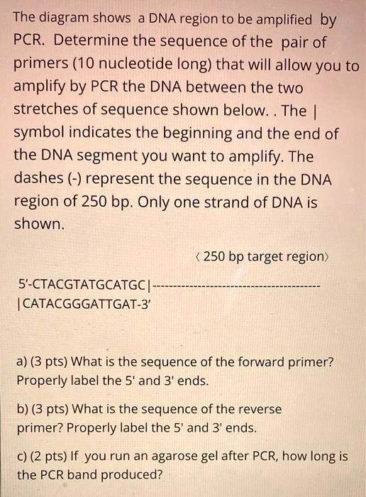 SOLVED: The diagram shows a DNA region to be amplified by PCR. Determine the sequence of the ...