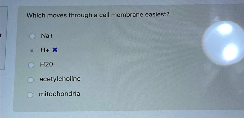 which moves through a cell membrane easiest na hx h20 acetylcholine ...