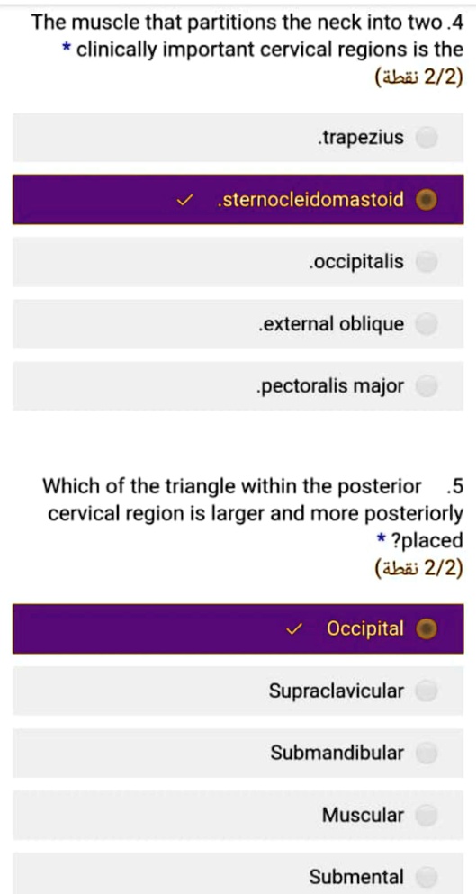 SOLVED: The muscle that partitions the neck into two clinically important cervical regions is ...